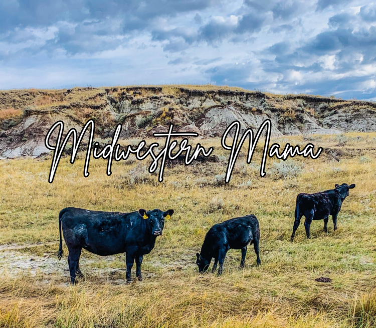 Midwestern Mama Boutique